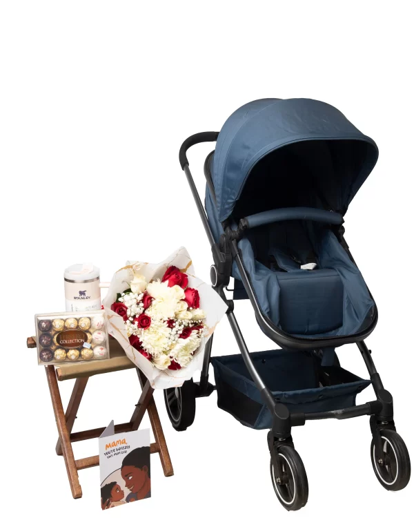 Bassinet Stroller Gift Bundle - Amanda's